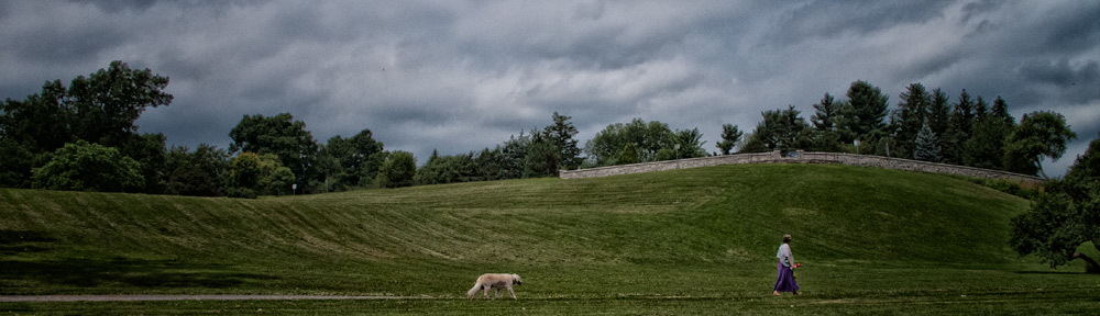 Brain Centers and How They Work - facticity.cafacticity.ca