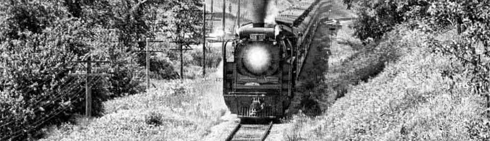 Behavioural Investigation - facticity.cafacticity.ca